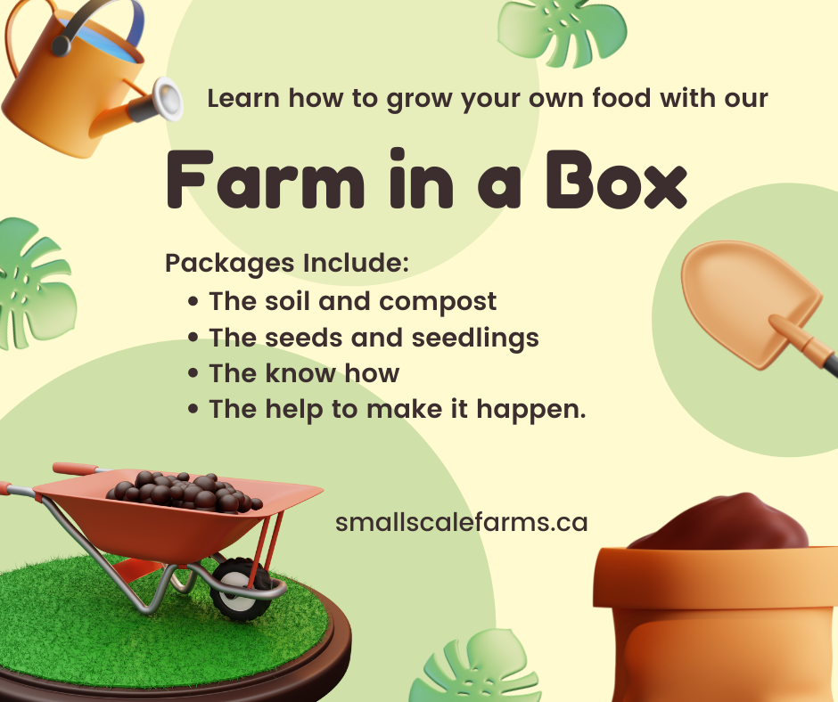 Farm in.a Box, Fiddleheads and FUN!